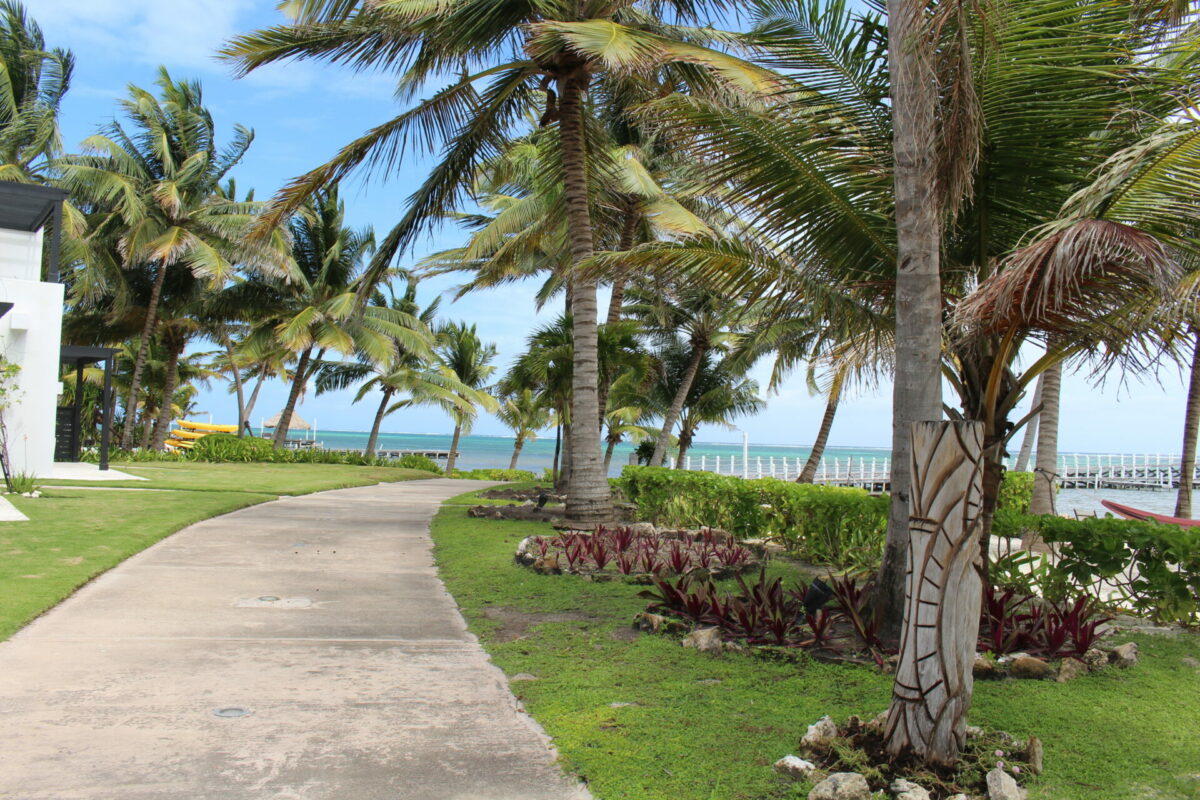 Las Terrazas Resort and Residences - The James Group Belize Real Estate